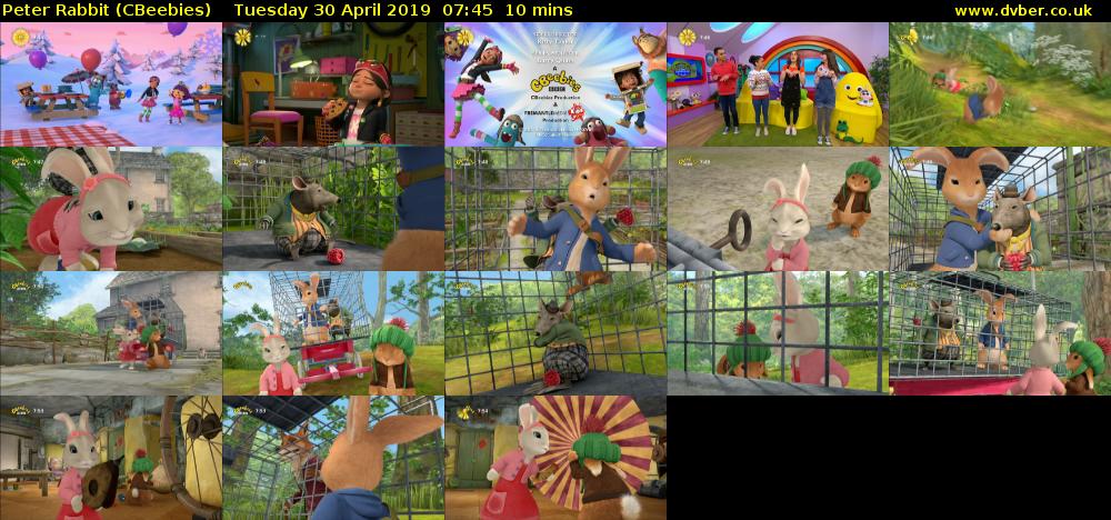 Peter Rabbit (CBeebies) - 2019-04-30-0745