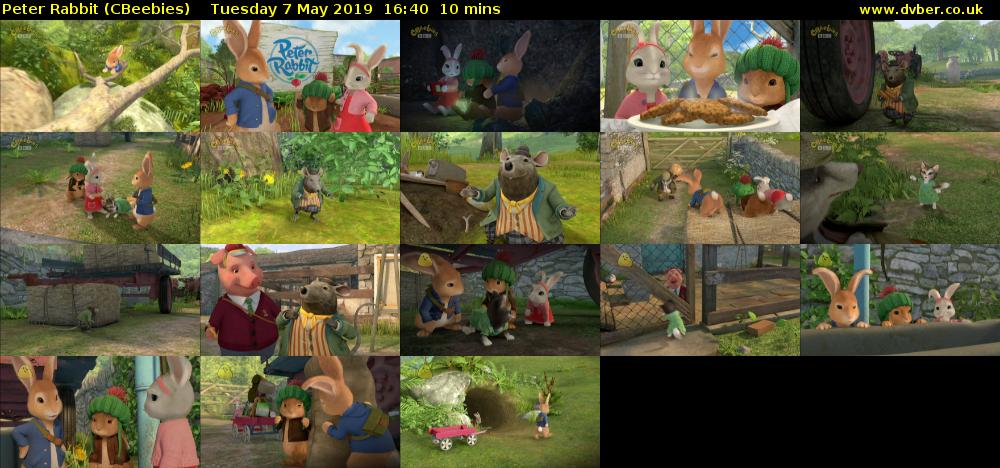 Peter Rabbit (CBeebies) - 2019-05-07-1640