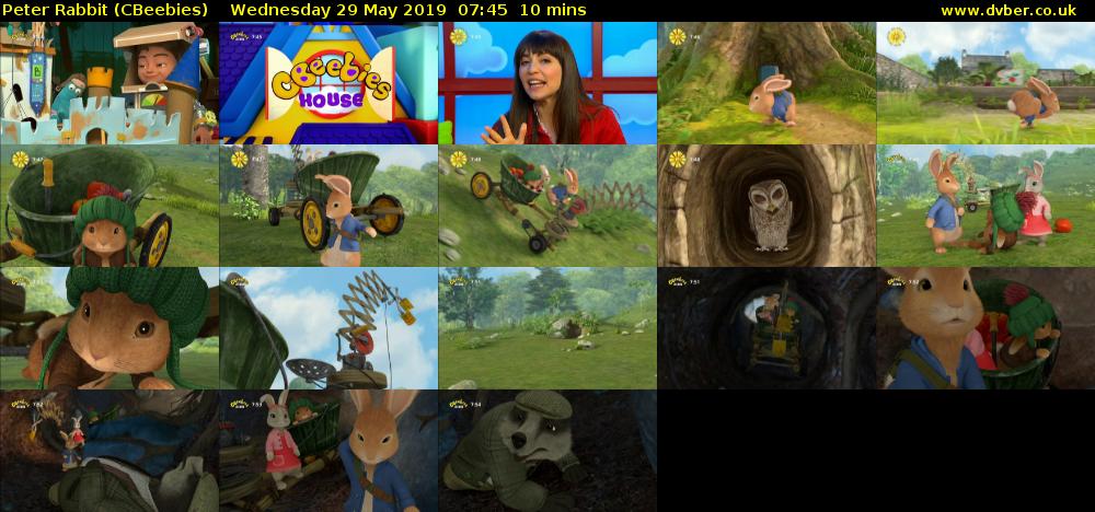 Peter Rabbit (CBeebies) - 2019-05-29-0745