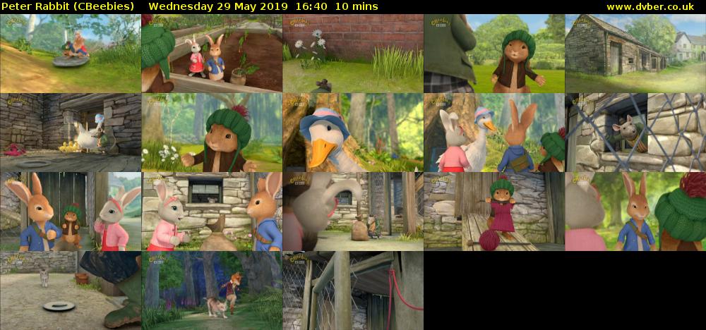 Peter Rabbit (CBeebies) - 2019-05-29-1640