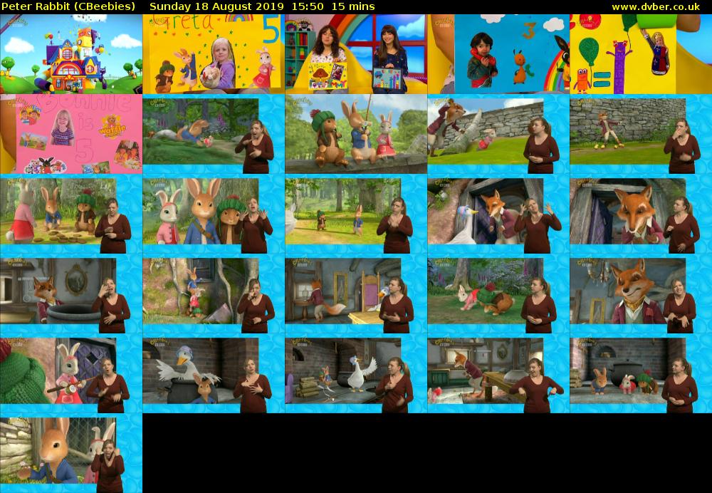 Peter Rabbit (CBeebies) - 2019-08-18-1550