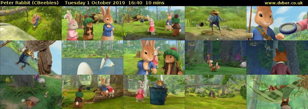 Peter Rabbit (CBeebies) - 2019-10-01-1640
