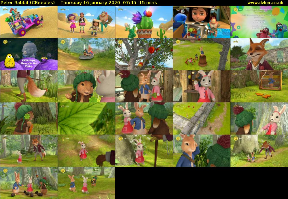 Peter Rabbit (CBeebies) - 2020-01-16-0745