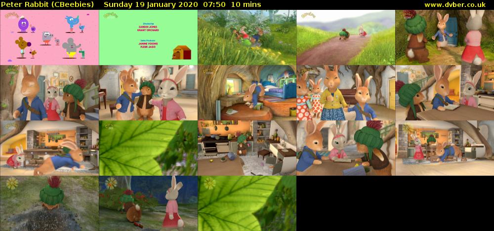 Peter Rabbit (CBeebies) - 2020-01-19-0750