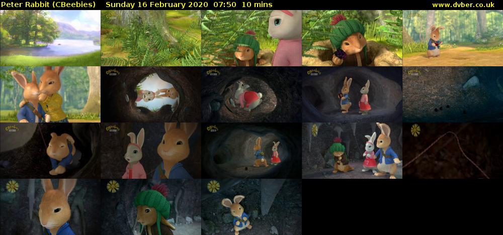 Peter Rabbit (CBeebies) - 2020-02-16-0750