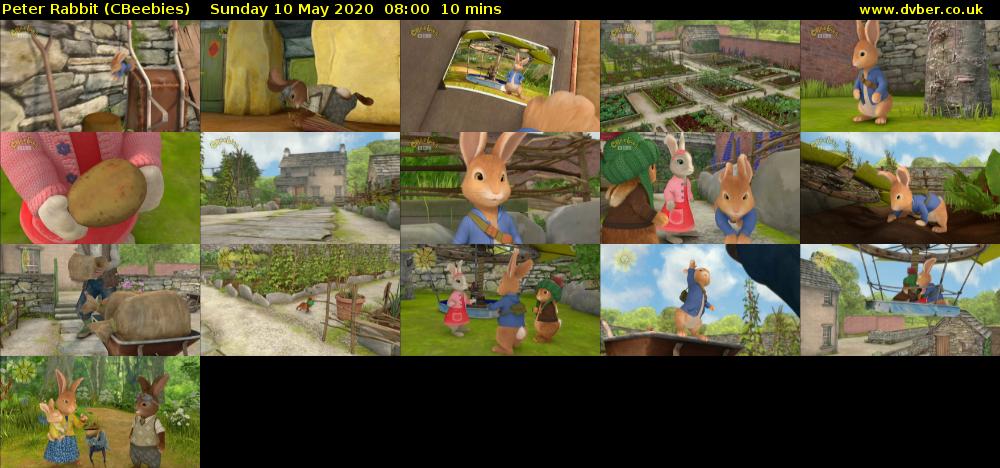 Peter Rabbit (CBeebies) - 2020-05-10-0800