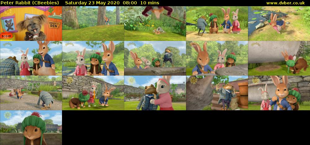 Peter Rabbit (CBeebies) - 2020-05-23-0800