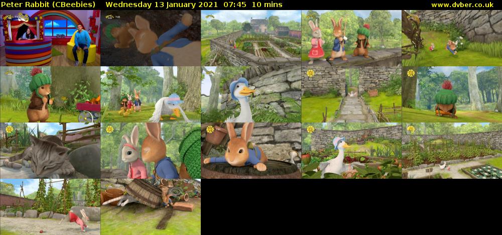 Peter Rabbit (CBeebies) - 2021-01-13-0745