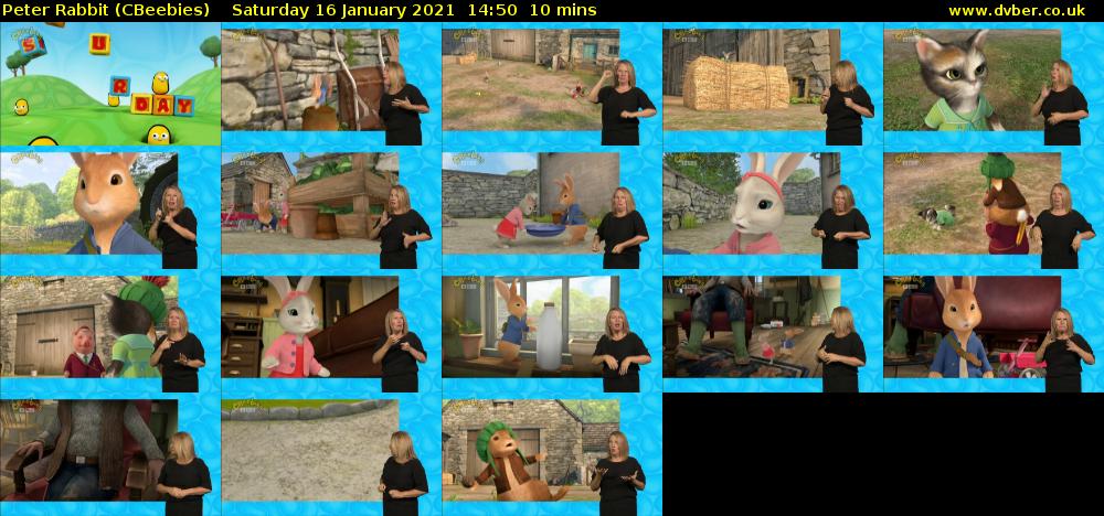 Peter Rabbit (CBeebies) - 2021-01-16-1450