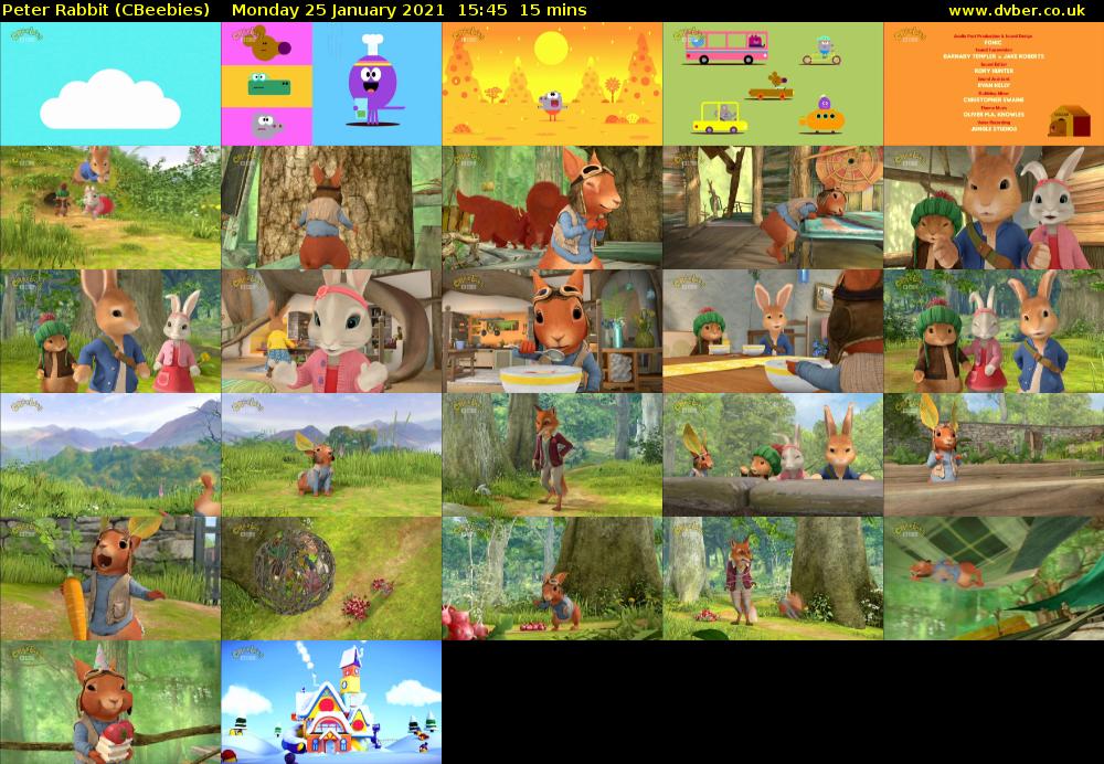 Peter Rabbit (CBeebies) - 2021-01-25-1545