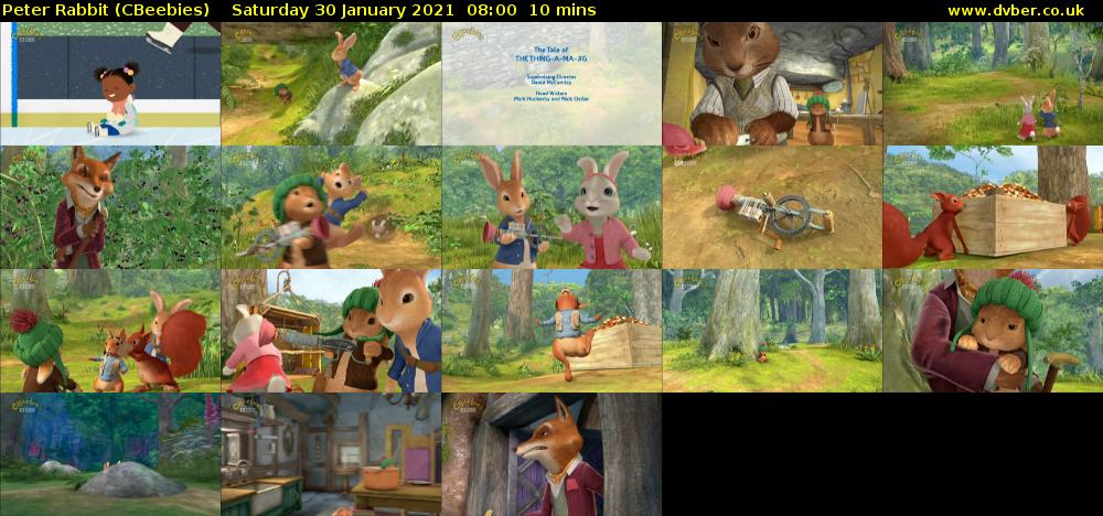 Peter Rabbit (CBeebies) - 2021-01-30-0800