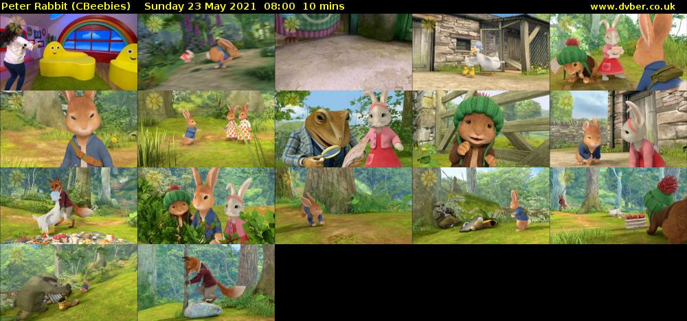 Peter Rabbit (CBeebies) - 2021-05-23-0800