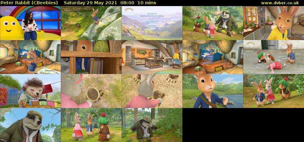 Peter Rabbit (CBeebies) - 2021-05-29-0800