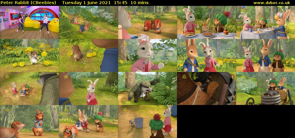 Peter Rabbit (CBeebies) - 2021-06-01-1545