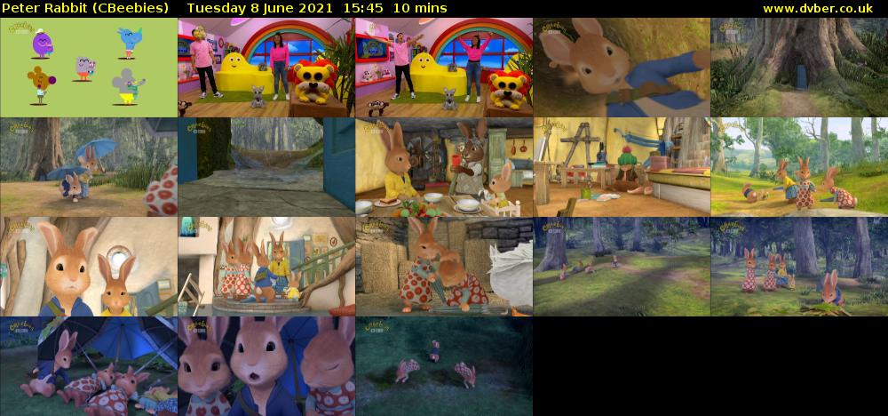 Peter Rabbit (CBeebies) - 2021-06-08-1545