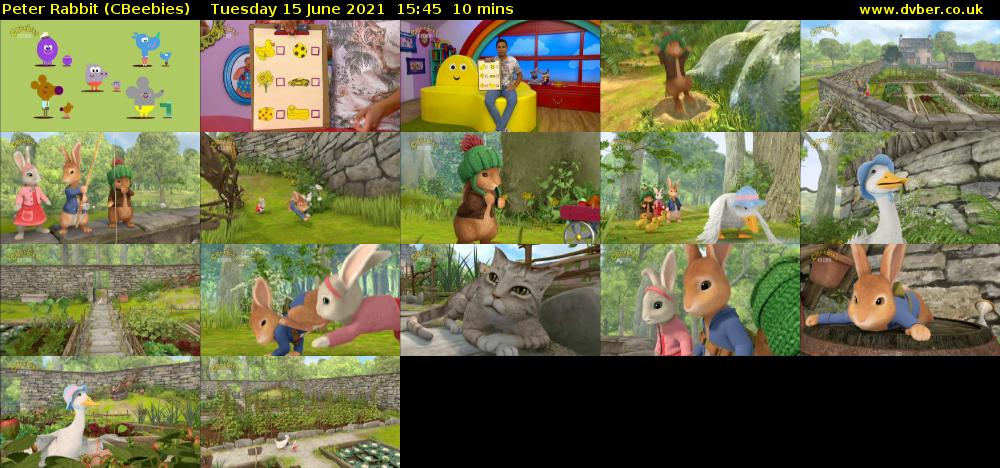 Peter Rabbit (CBeebies) - 2021-06-15-1545