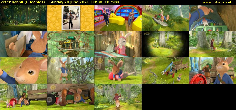 Peter Rabbit (CBeebies) - 2021-06-20-0800