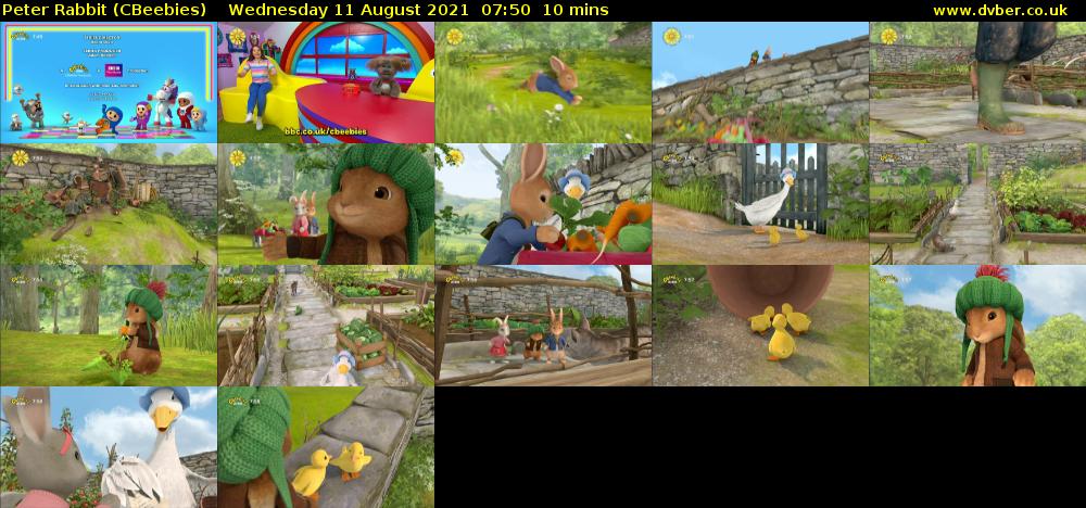 Peter Rabbit (CBeebies) - 2021-08-11-0750