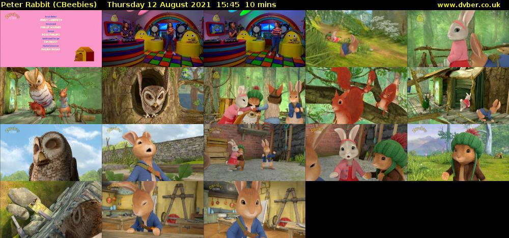 Peter Rabbit (CBeebies) - 2021-08-12-1545
