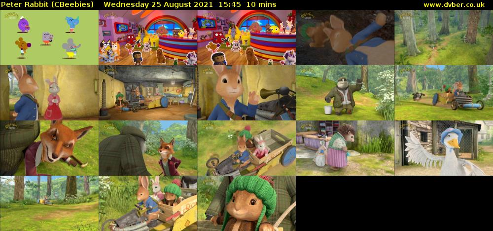 Peter Rabbit (CBeebies) - 2021-08-25-1545