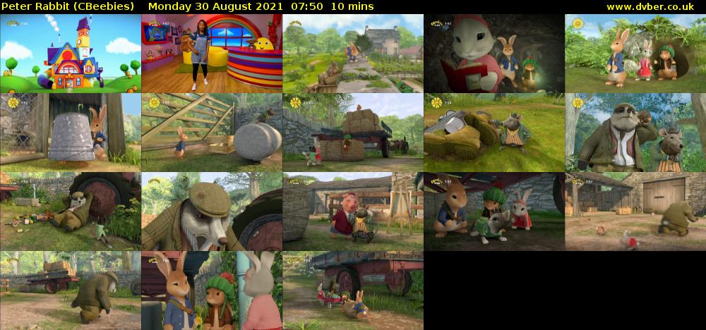 Peter Rabbit (CBeebies) - 2021-08-30-0750