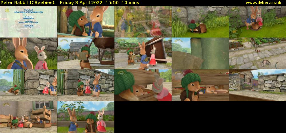 Peter Rabbit (CBeebies) - 2022-04-08-1550
