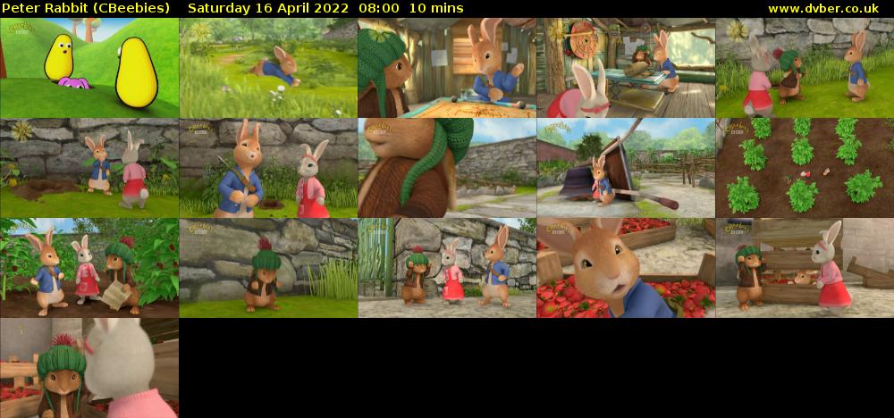 Peter Rabbit (CBeebies) - 2022-04-16-0800