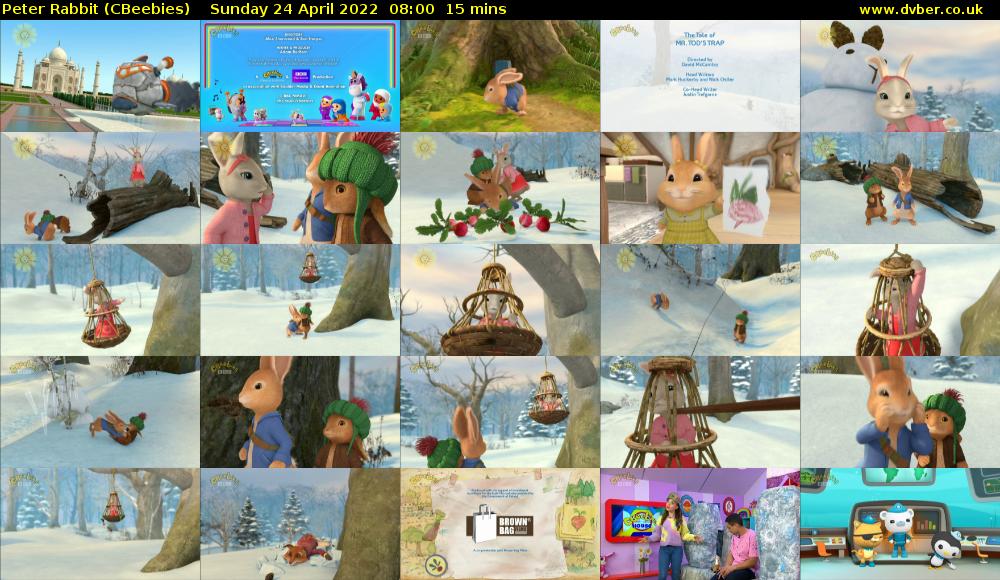 Peter Rabbit (CBeebies) - 2022-04-24-0800
