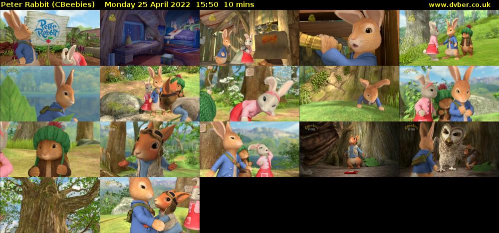 Peter Rabbit (CBeebies) - 2022-04-25-1550