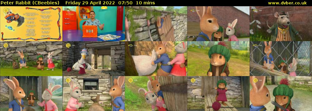 Peter Rabbit (CBeebies) - 2022-04-29-0750