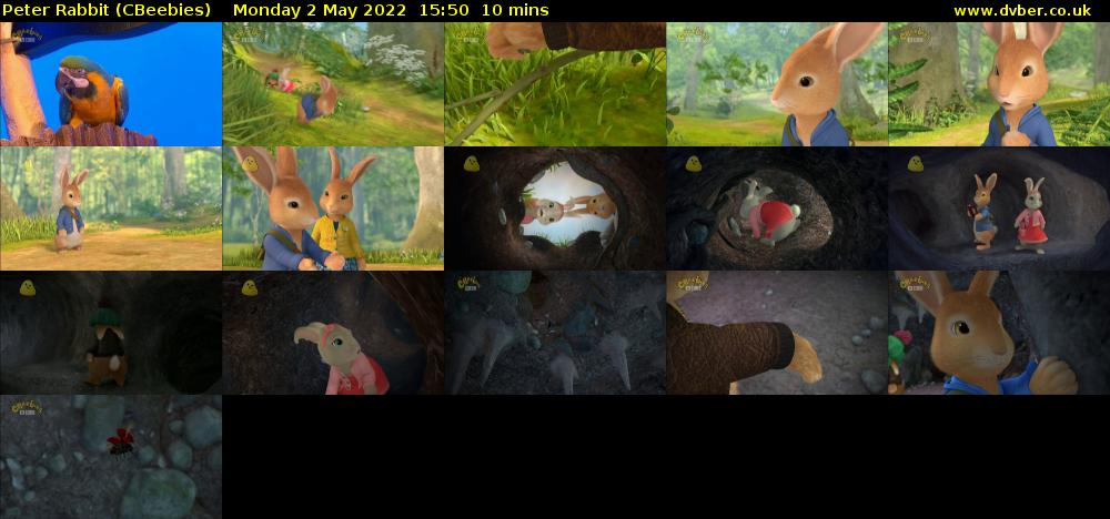 Peter Rabbit (CBeebies) - 2022-05-02-1550