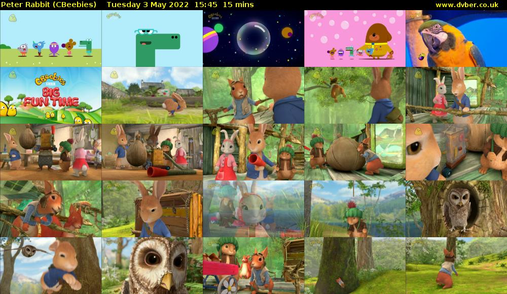 Peter Rabbit (CBeebies) - 2022-05-03-1545