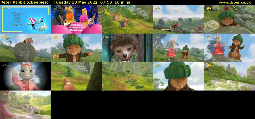 Peter Rabbit (CBeebies) - 2022-05-10-0750
