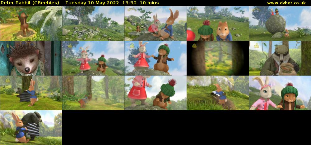 Peter Rabbit (CBeebies) - 2022-05-10-1550