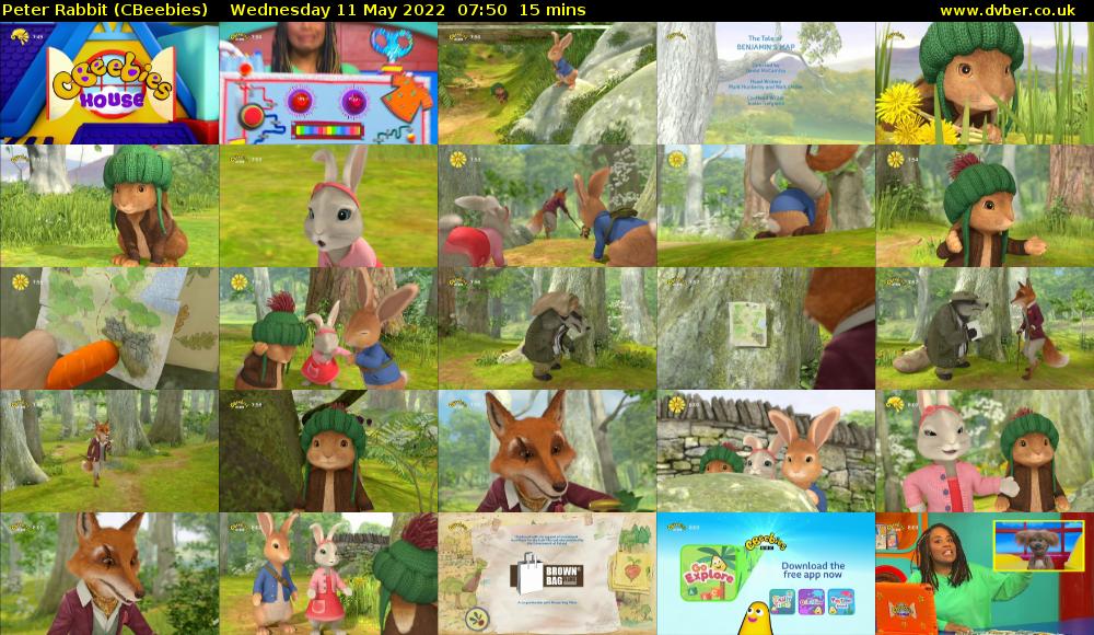 Peter Rabbit (CBeebies) - 2022-05-11-0750