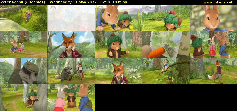 Peter Rabbit (CBeebies) - 2022-05-11-1550