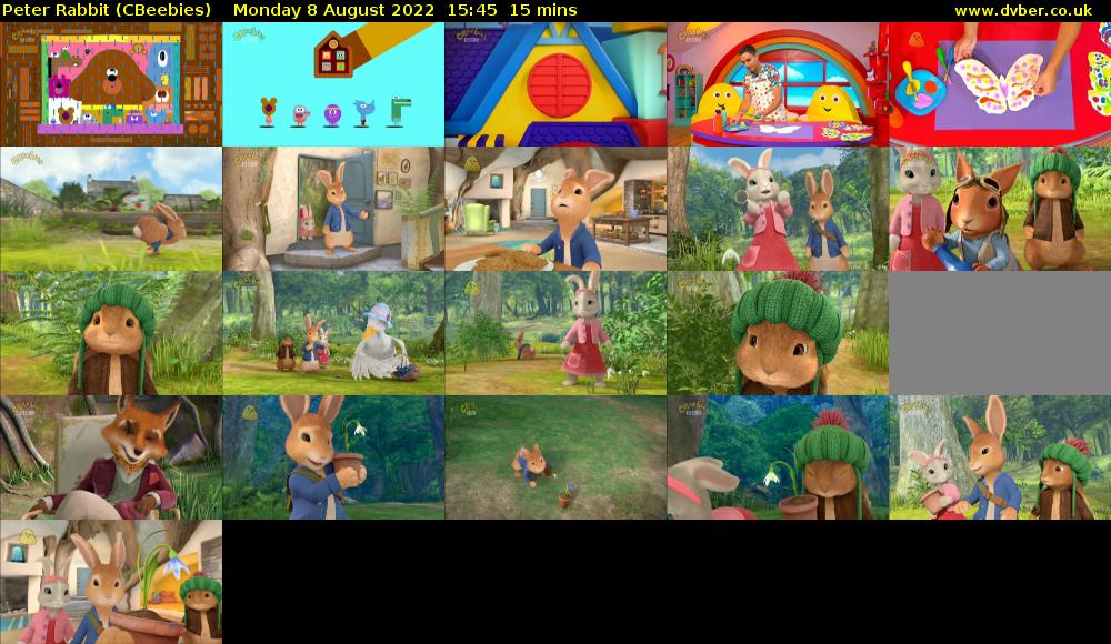Peter Rabbit (CBeebies) - 2022-08-08-1545