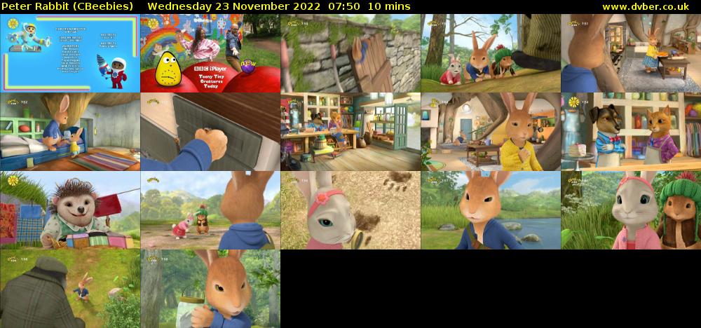 Peter Rabbit (CBeebies) - 2022-11-23-0750