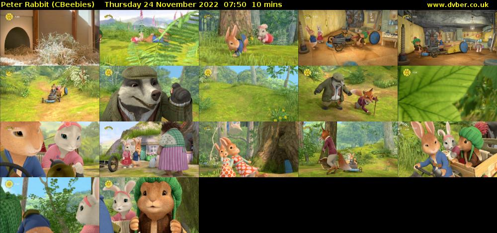 Peter Rabbit (CBeebies) - 2022-11-24-0750