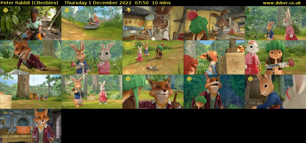 Peter Rabbit (CBeebies) - 2022-12-01-0750
