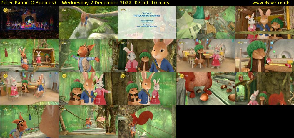 Peter Rabbit (CBeebies) - 2022-12-07-0750