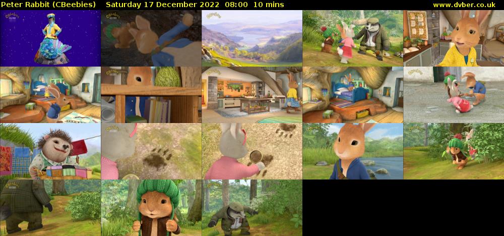 Peter Rabbit (CBeebies) - 2022-12-17-0800