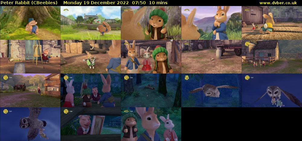 Peter Rabbit (CBeebies) - 2022-12-19-0750