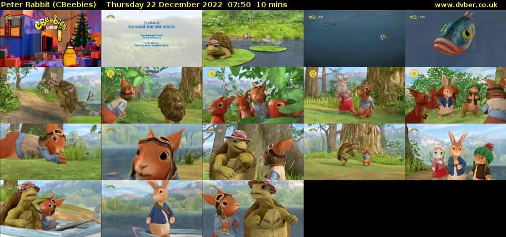 Peter Rabbit (CBeebies) - 2022-12-22-0750