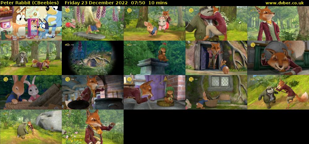Peter Rabbit (CBeebies) - 2022-12-23-0750