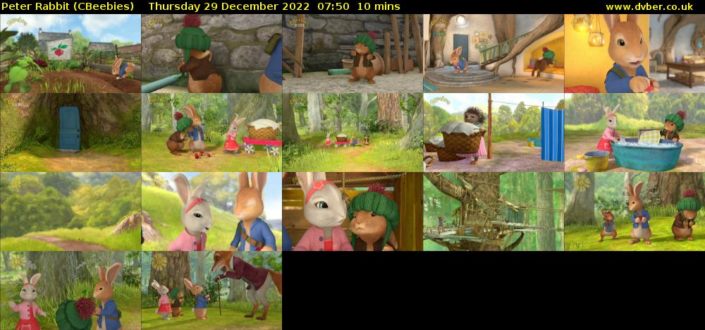 Peter Rabbit (CBeebies) - 2022-12-29-0750