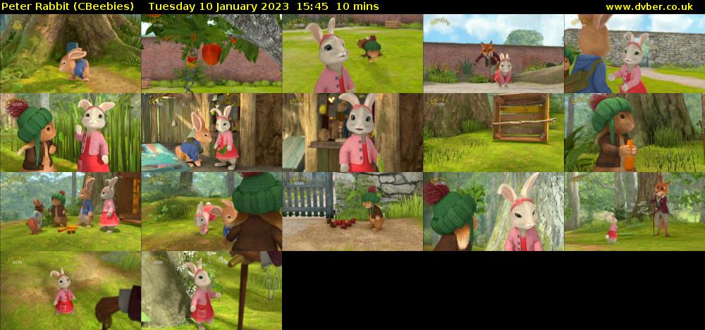 Peter Rabbit (CBeebies) - 2023-01-10-1545