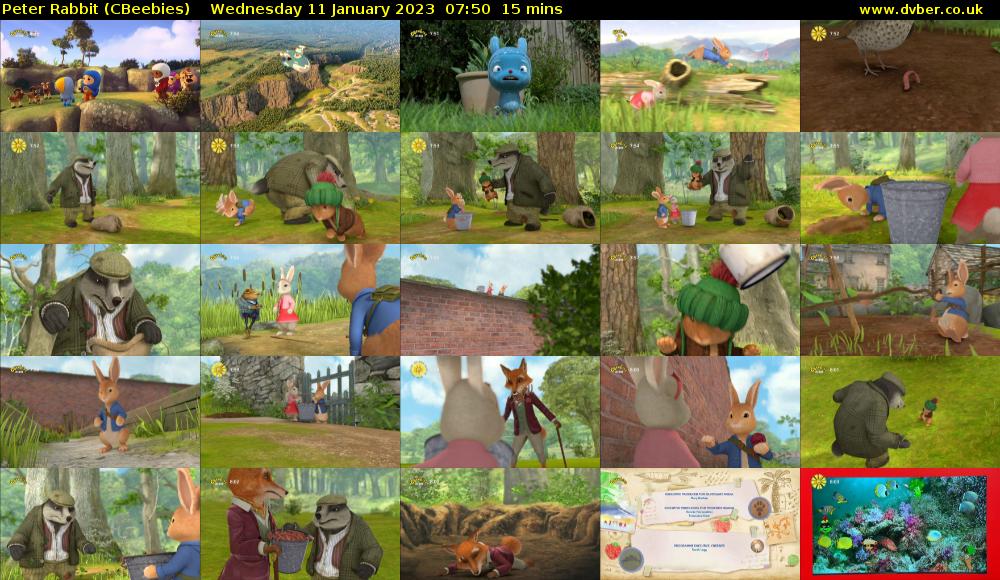 Peter Rabbit (CBeebies) - 2023-01-11-0750