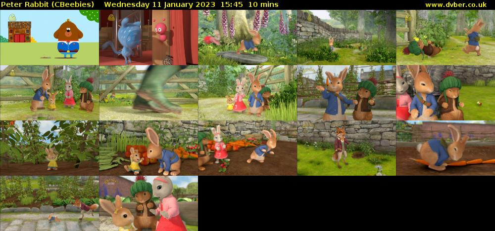 Peter Rabbit (CBeebies) - 2023-01-11-1545