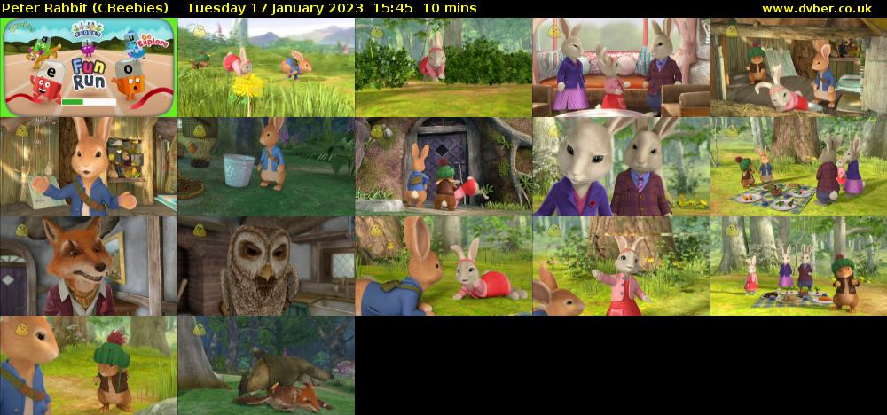 Peter Rabbit (CBeebies) - 2023-01-17-1545
